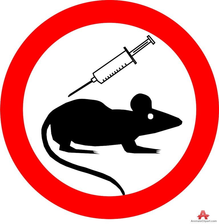 Animal mouse testing sign free clipart design download - WikiClipArt