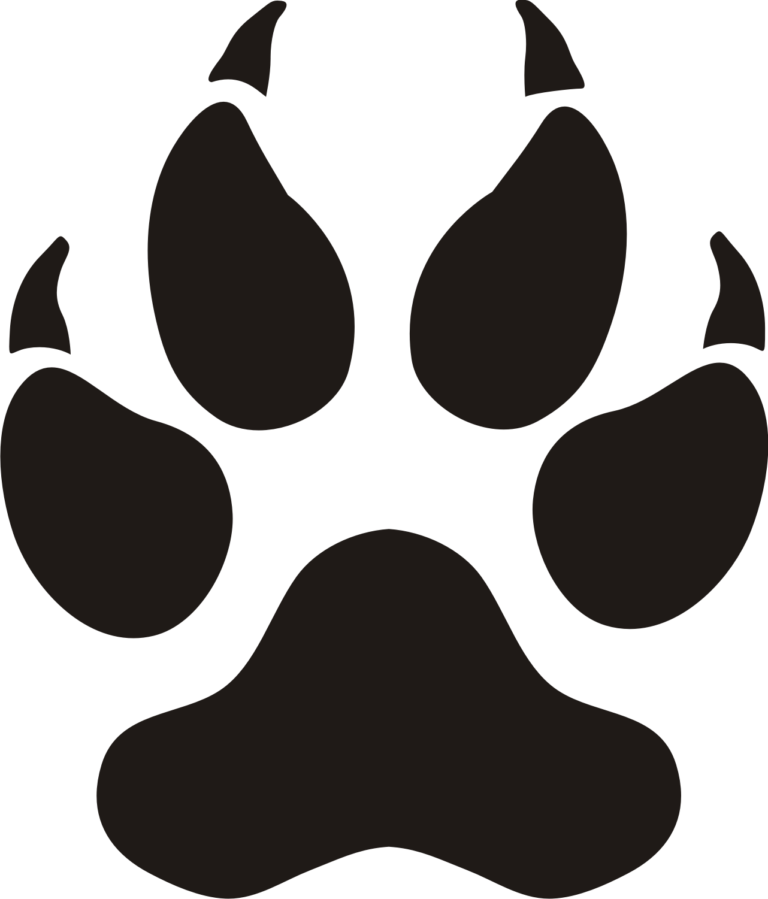 Paw print tattoos on dog paw prints scroll clipart 3 5 2 - WikiClipArt