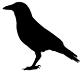 Primitive crow clipart - WikiClipArt