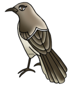 Free vector mockingbird clip art clipart - WikiClipArt